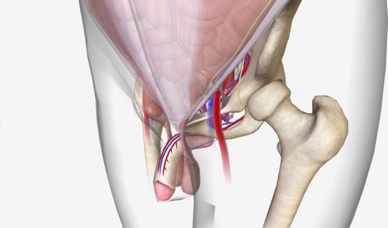 Entezopatia krętarza większego - objawy i ćwiczenia